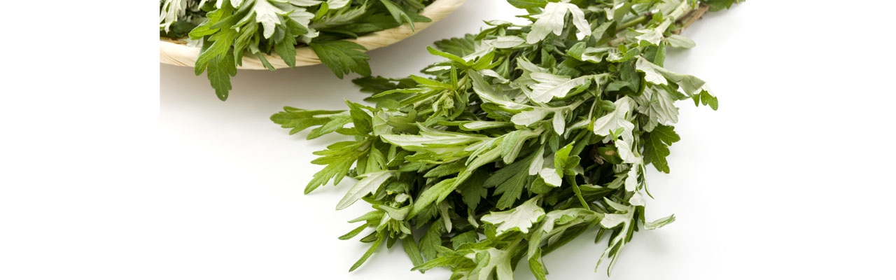 Rau dại, nguồn thực phẩm quý giá từ thiên nhiên | KILALA