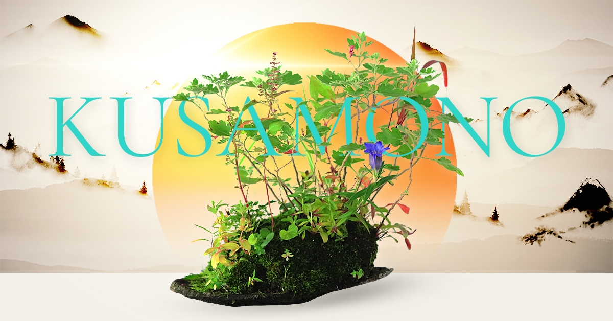 Kusamono: Một góc thiên nhiên mềm mại