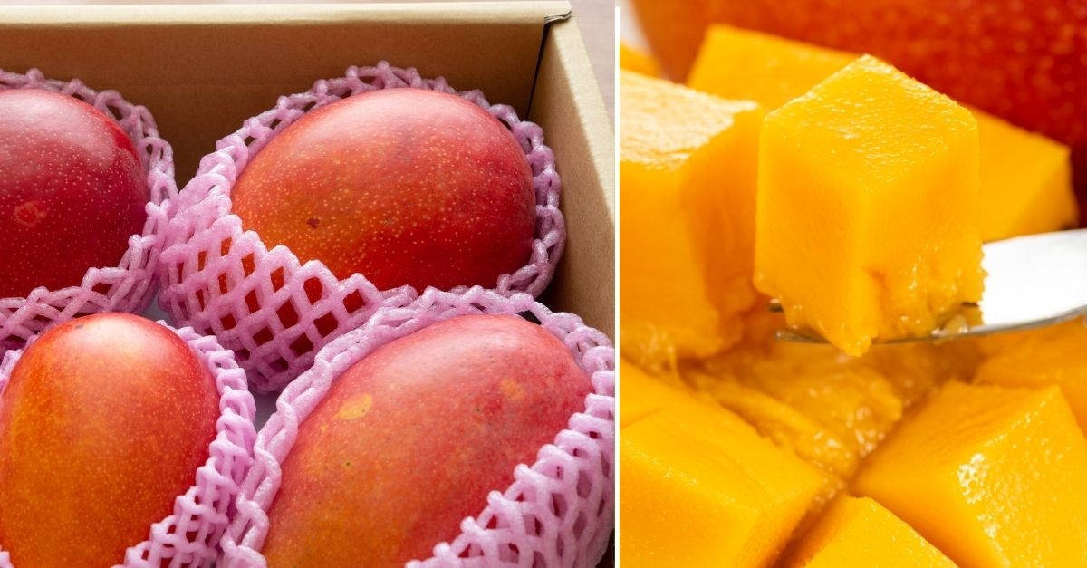 Miyazaki Mango: "Trứng" của mặt trời đắt đỏ nhất thế giới | KILALA