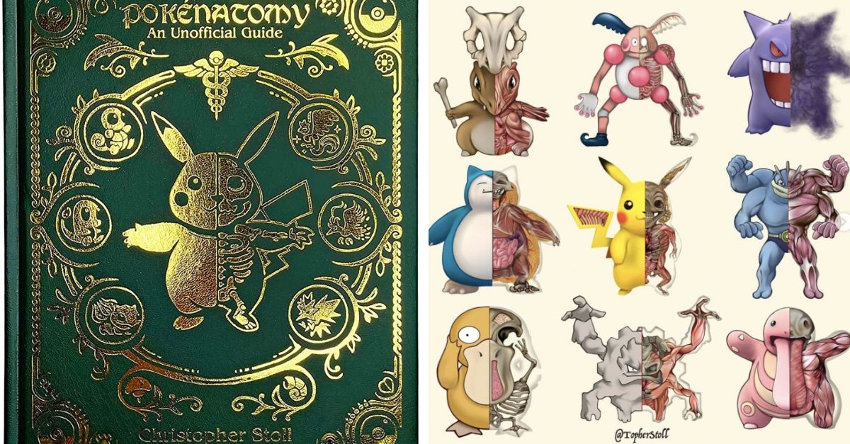 Pokénatomy - Độc đáo với việc giải phẫu Pokémon | KILALA