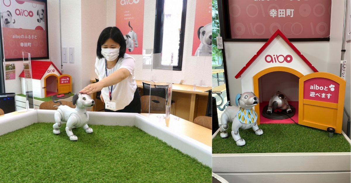 Chơi đùa cùng robot Aibo tại quán cà phê ở tỉnh Aichi | KILALA