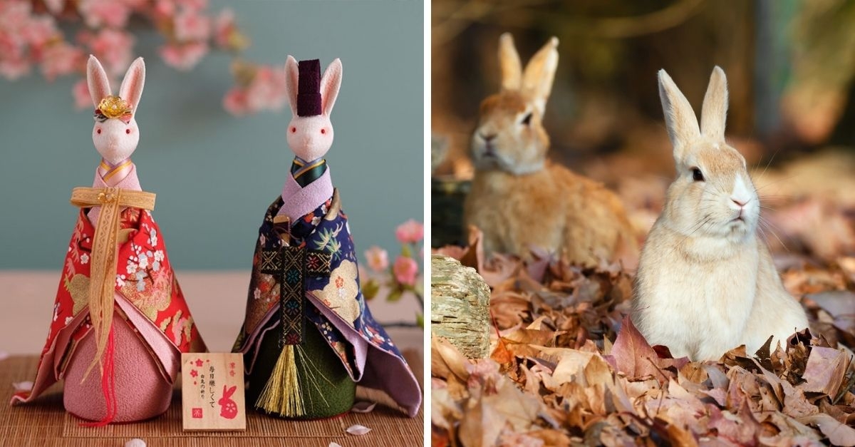 Biểu tượng thỏ trong văn hóa Nhật Bản | KILALA