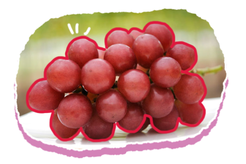 Nho: Viên ngọc quý của nông nghiệp Nhật Bản