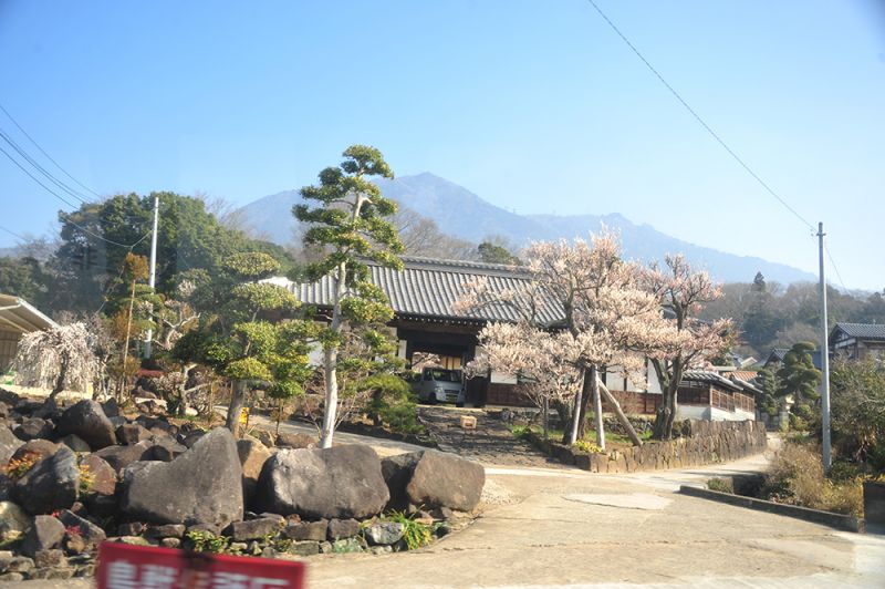 Nobuko Inaba, huyền thoại nấu sake dưới đỉnh Tsukuba | KILALA