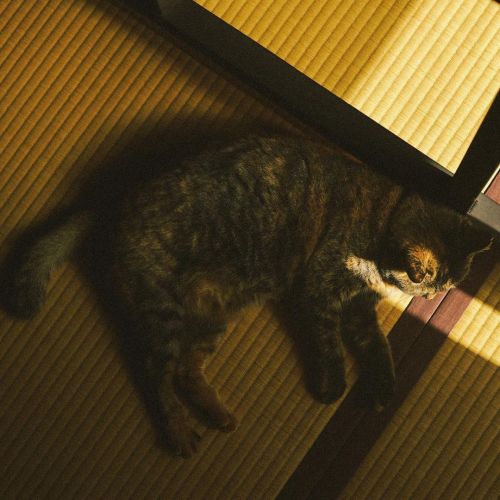 Khám phá “một Nhật Bản rất khác” qua ảnh của Daisuke Saito | KILALA