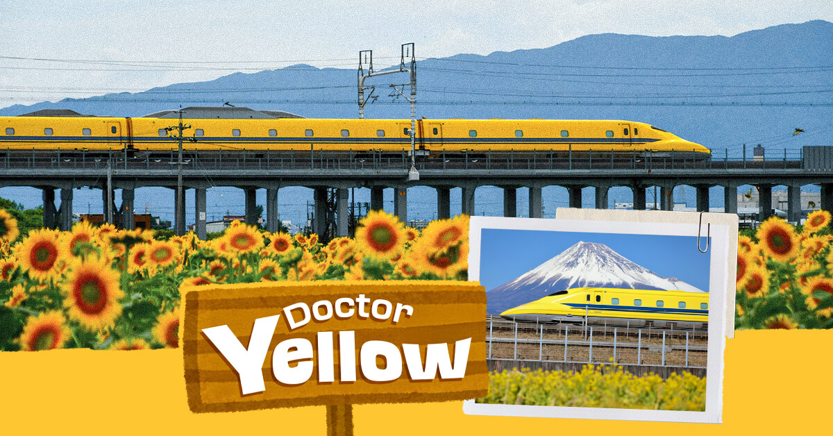 Doctor Yellow: Đoàn tàu “gìn giữ sức khỏe” cho mạng lưới shinkansen của ...