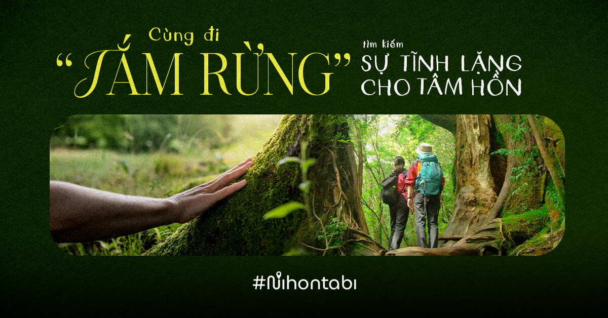 Cùng đi “Tắm rừng” tìm kiếm sự tĩnh lặng cho tâm hồn