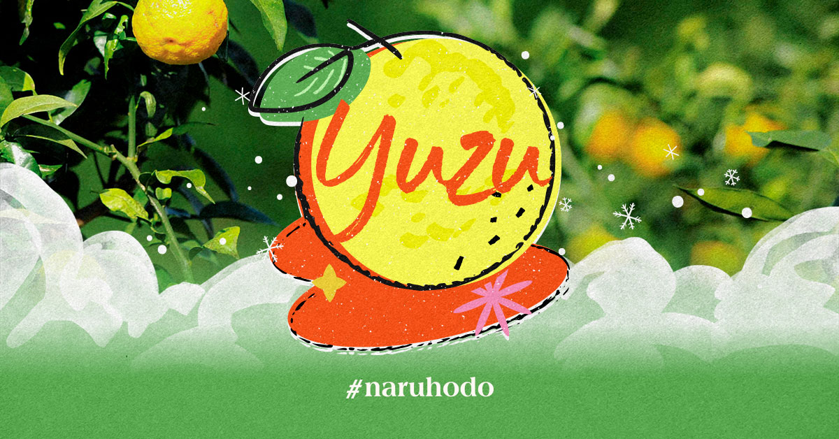 Yuzu: “Mặt trời” vàng ươm, thơm lừng của mùa đông Nhật Bản